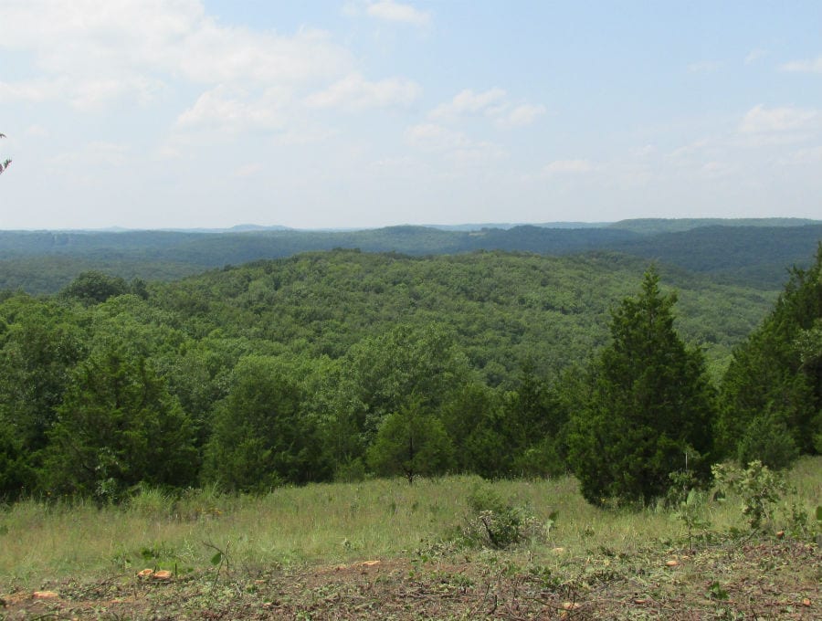 12 Acres w/ AMAZING VIEW - InstantAcres.com Inc.