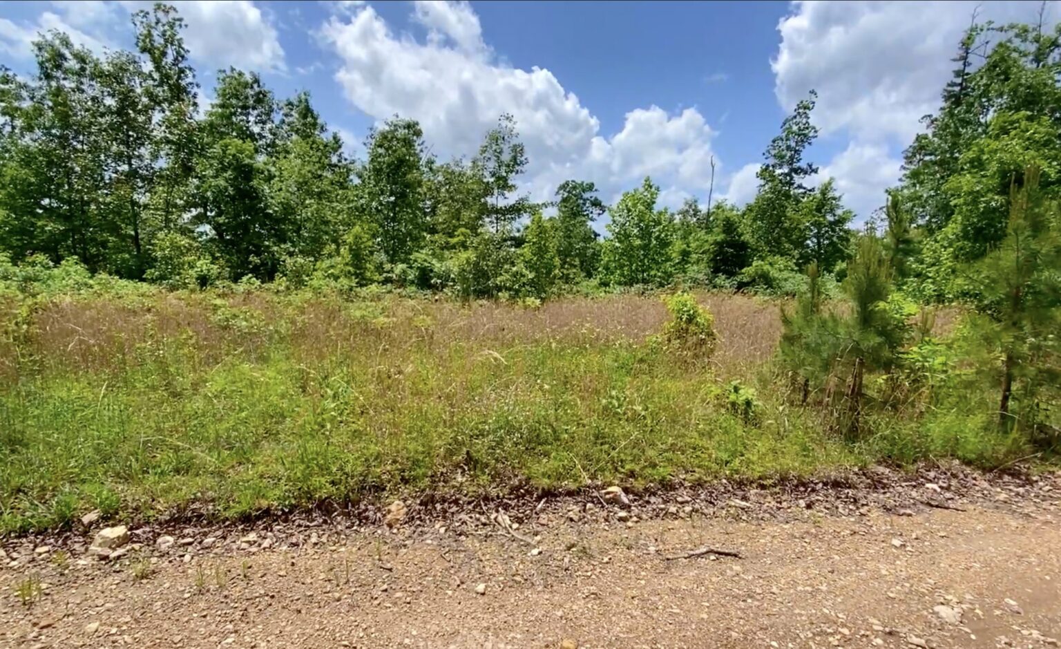 13.18 Acres at Chalk Bluff with Deer, Turkey, Public Land and the Jack ...