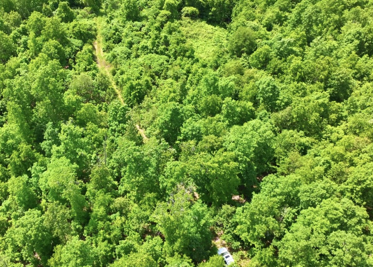 9.19 Acres at Chalk Bluff with Deer, Turkey, Public Land and the Jack's ...